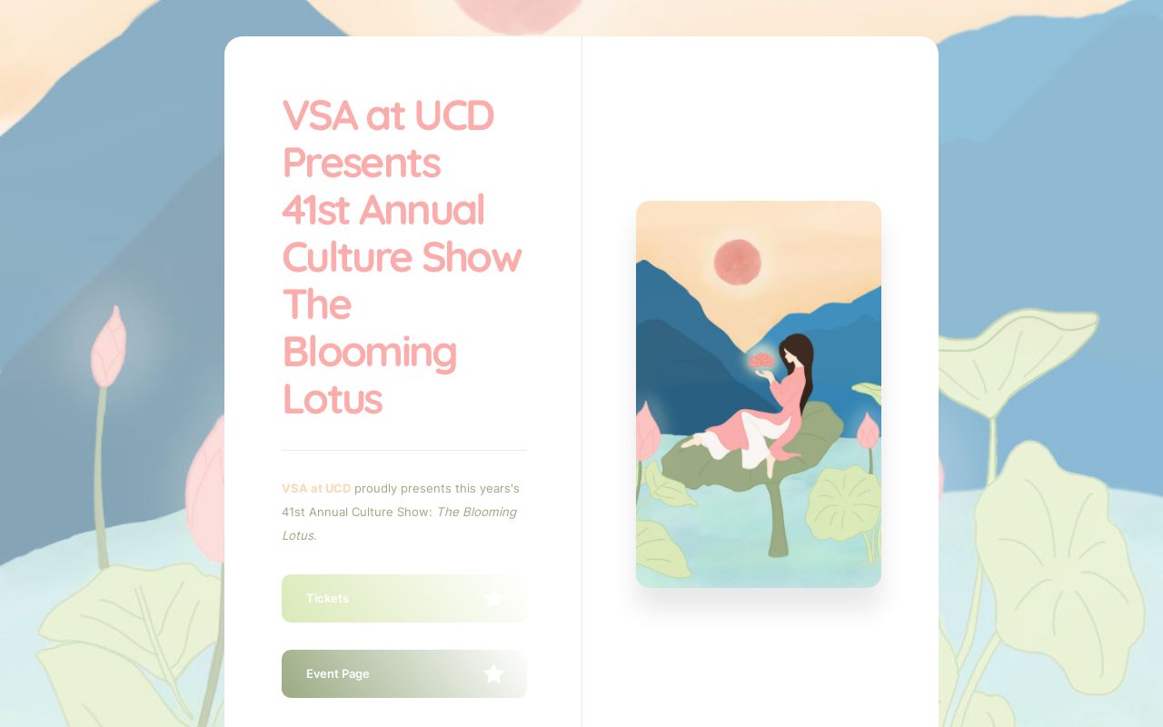 VSA at UCD Culture Show